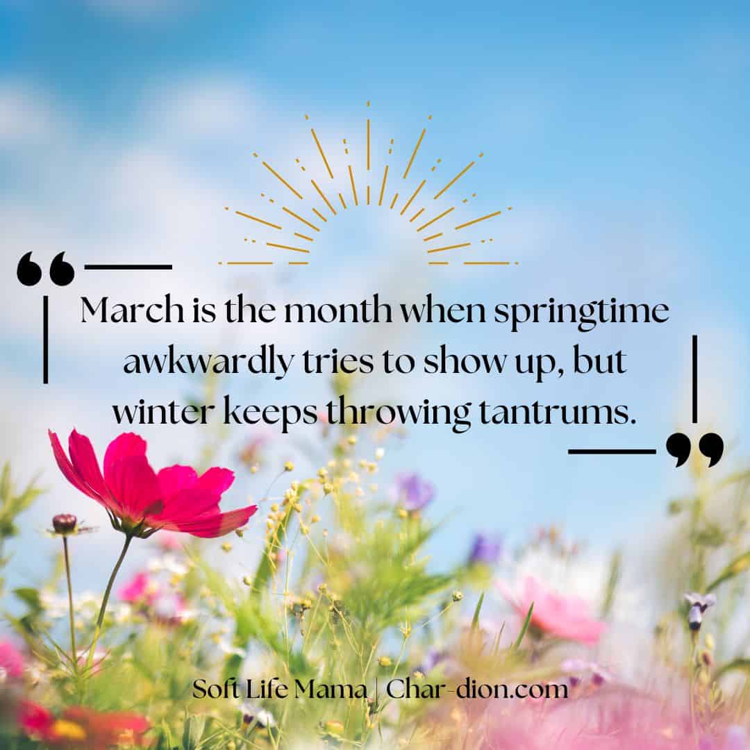 March Positive Quotes to Boost Your Mood - Soft Life Mama