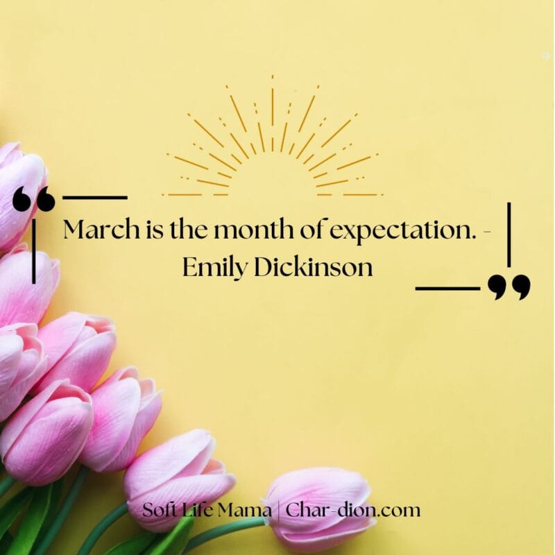 March Positive Quotes to Boost Your Mood - Soft Life Mama